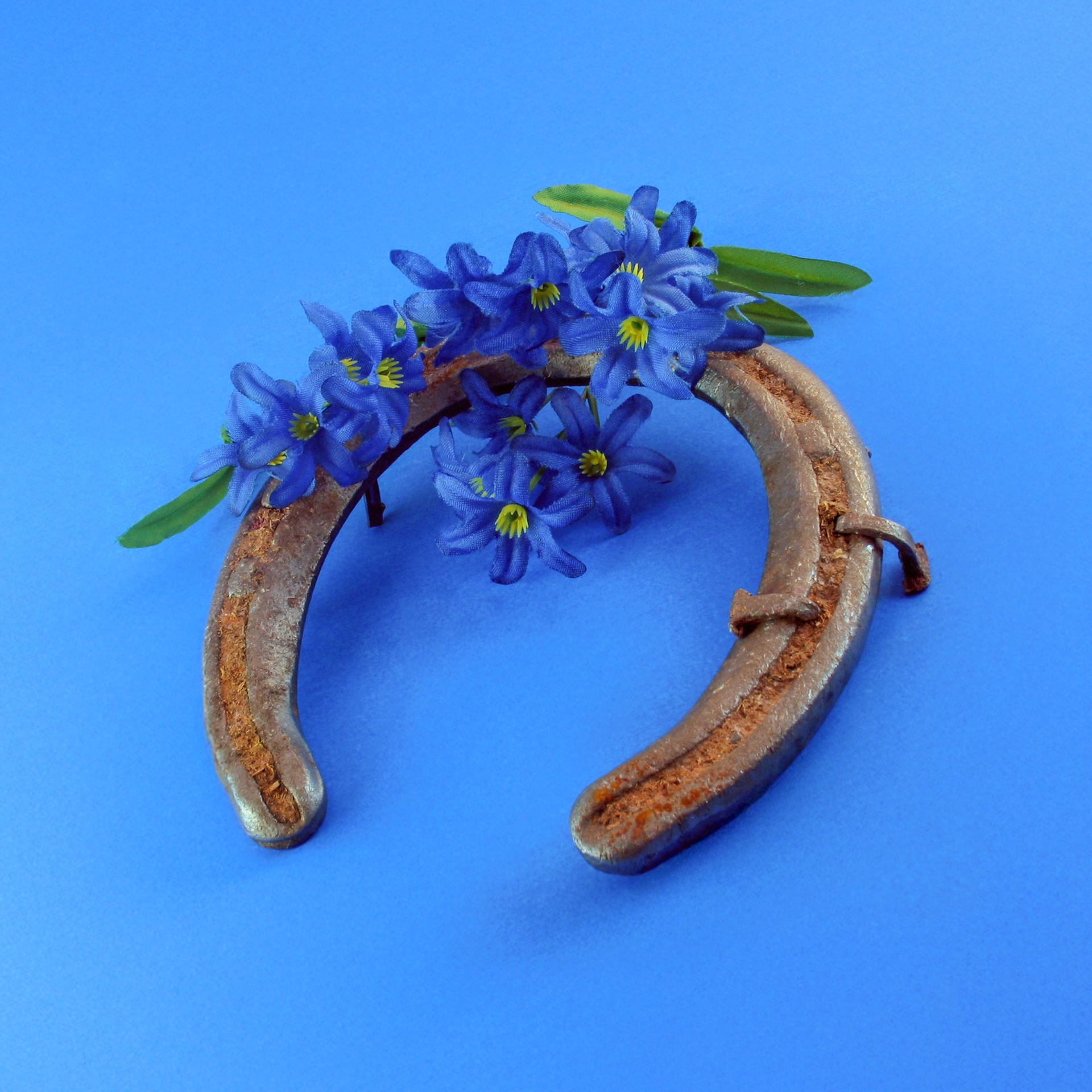 下等马 ChiliChill乐团 歌词 - 歌词易